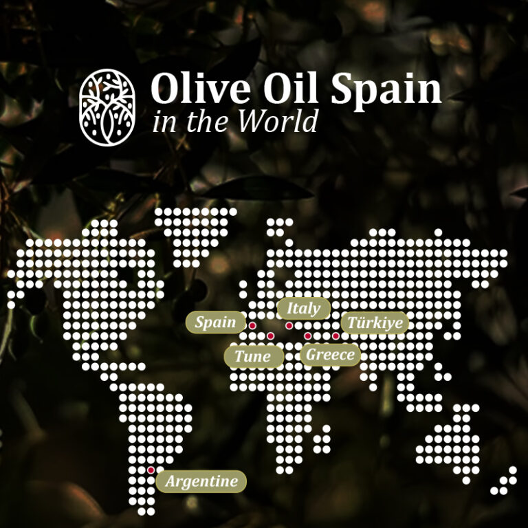 Olive Oils Spain - Premium Olive Oils from Spain